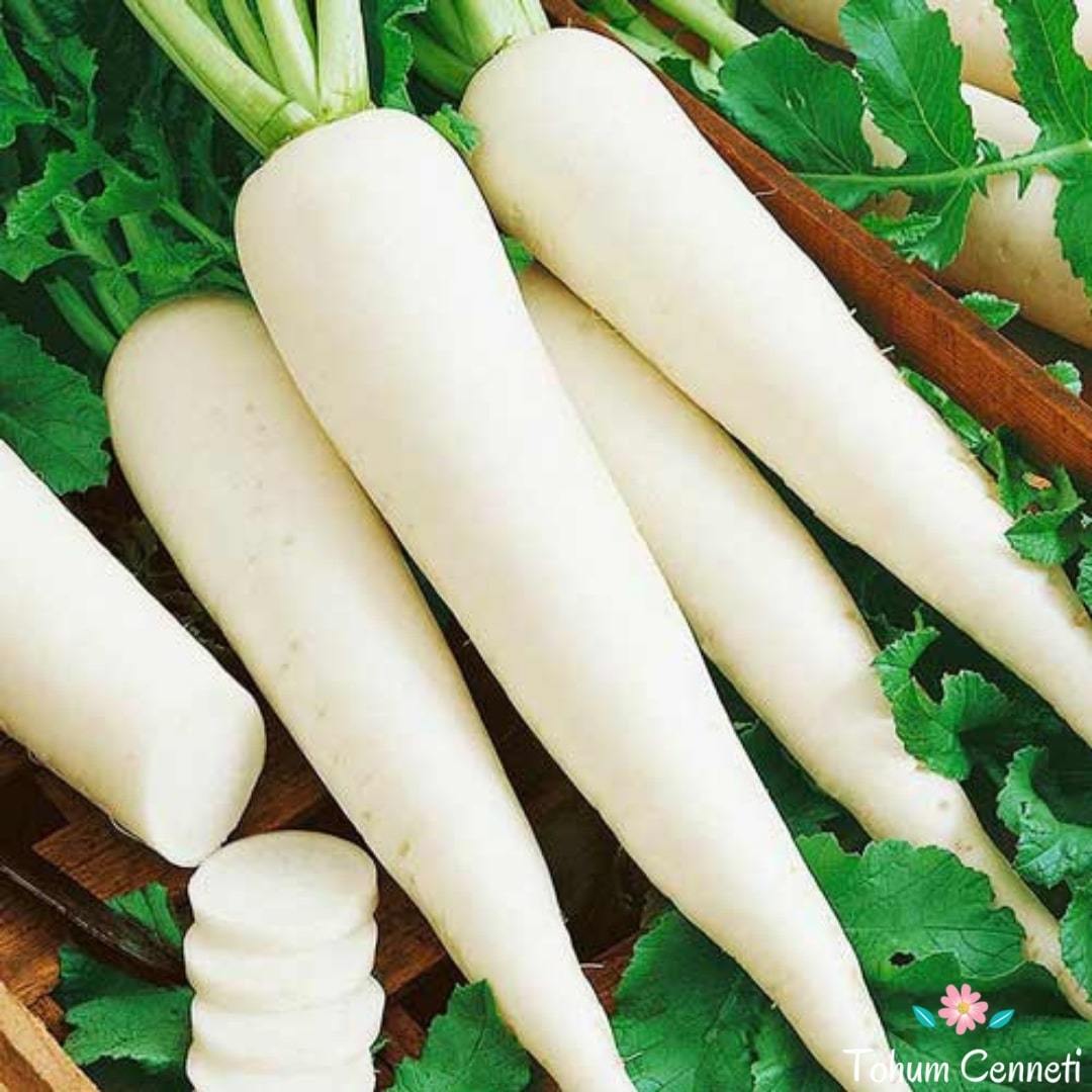 Tohum Cenneti | Uzun Beyaz Turp Tohumu | 35 TL
